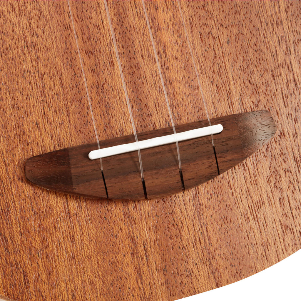 Donner Soprano Ukulele First Look Review | Greg Kocis