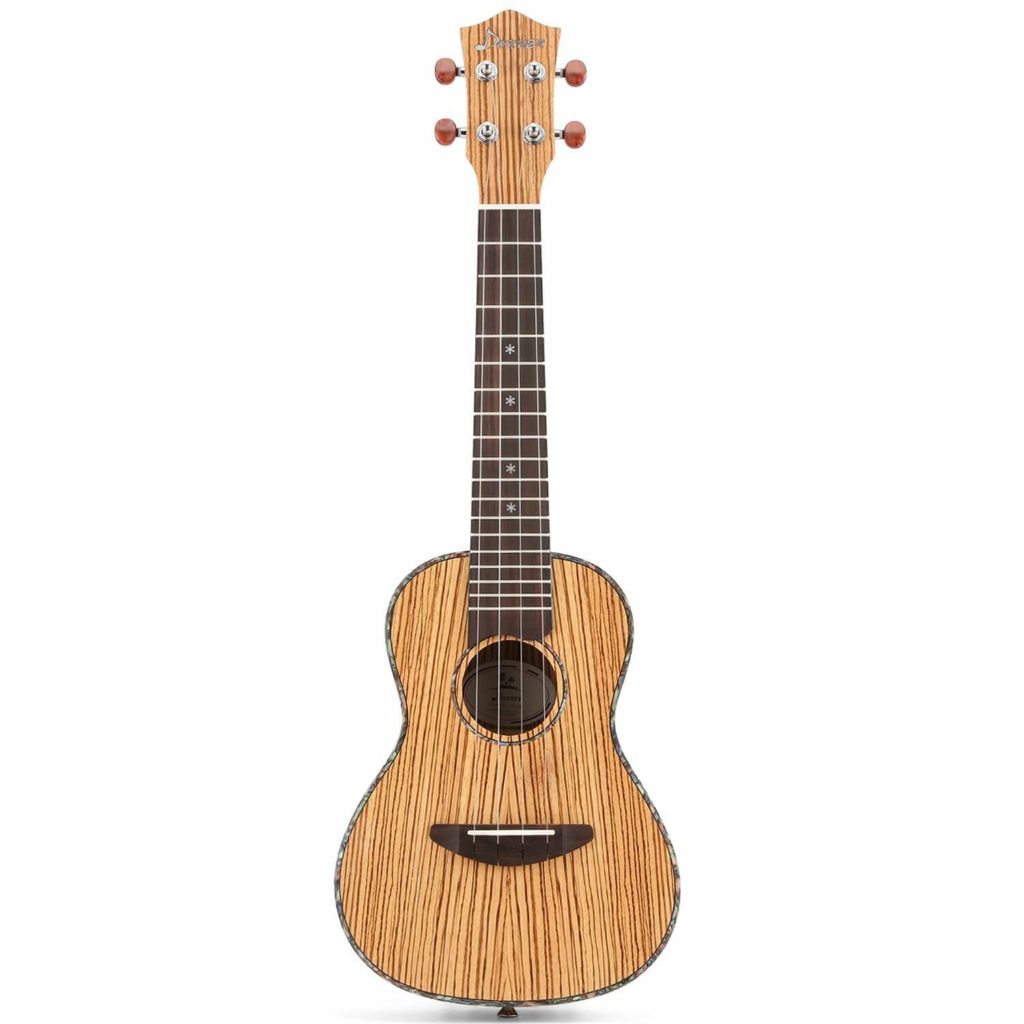 Donner Concert Ukulele Zebrawood Set Review | Greg Kocis