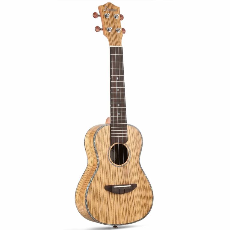Donner Concert Ukulele Zebrawood Set Review | Greg Kocis