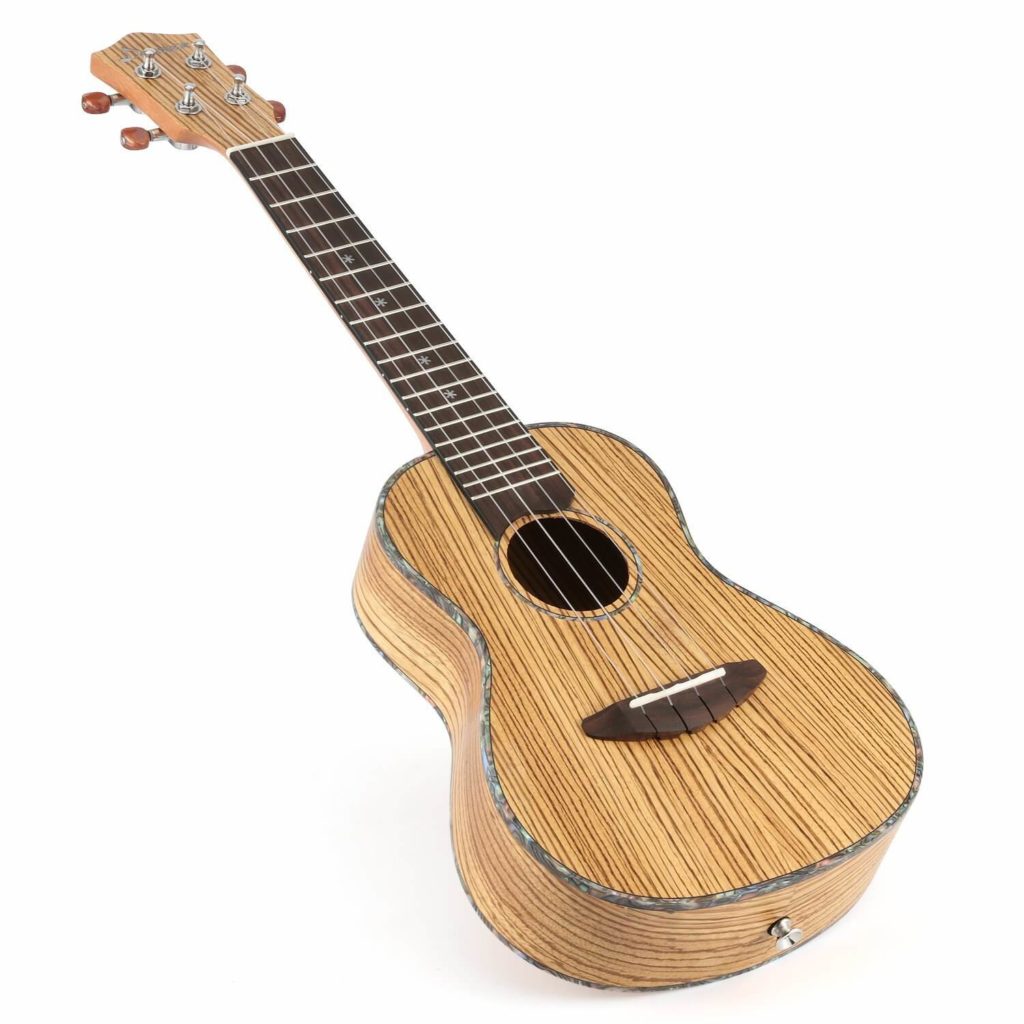 Donner Concert Ukulele Zebrawood Set Review | Greg Kocis
